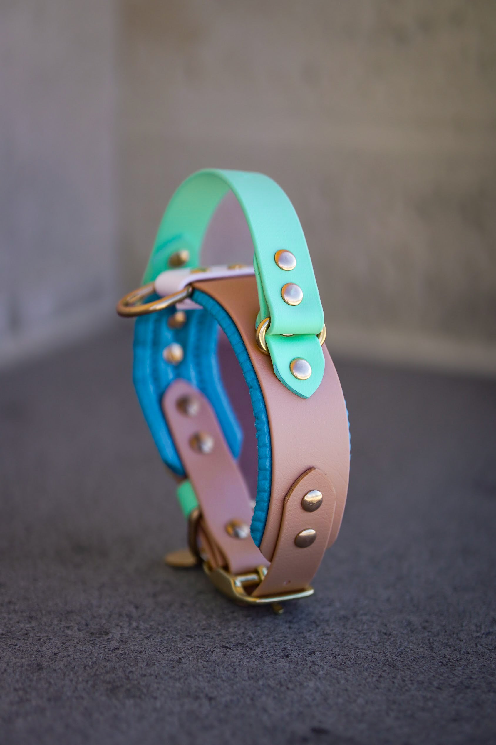 Retractable handle collar 34-40cm – Moonlight Pet Creations